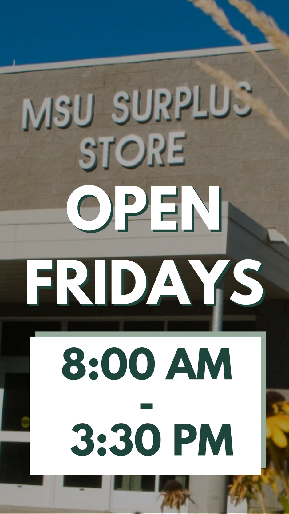 MSU Surplus Store